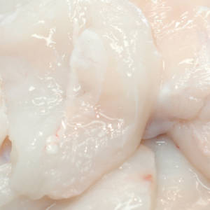 Fresh-fish - Marrfish - Wholesale Fish & Seafood Delivery