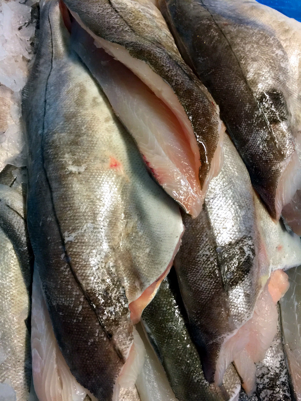 Home - Marrfish - Wholesale Fish & Seafood Delivery